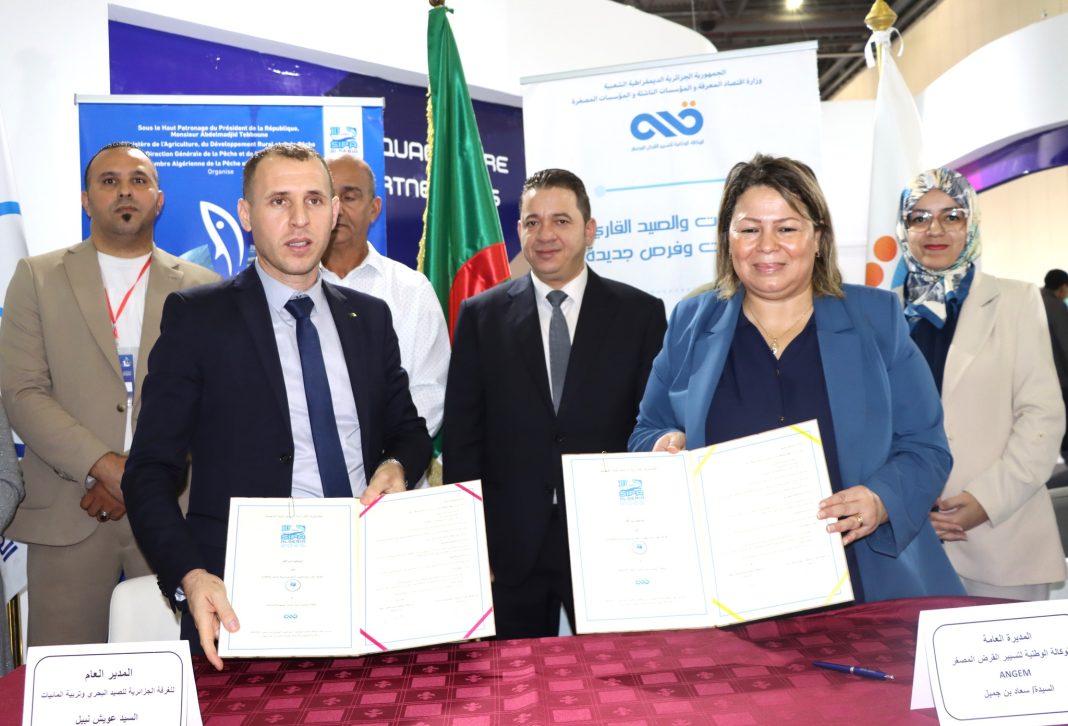 SIPA 2025: L’ONAB et l’ANGEM s’allient à la Chambre nationale pour booster la commercialisation ...