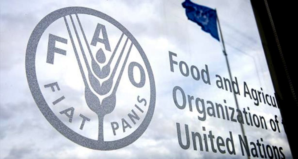 FAO: Recul des prix mondiaux des produits alimentaires pour le ...