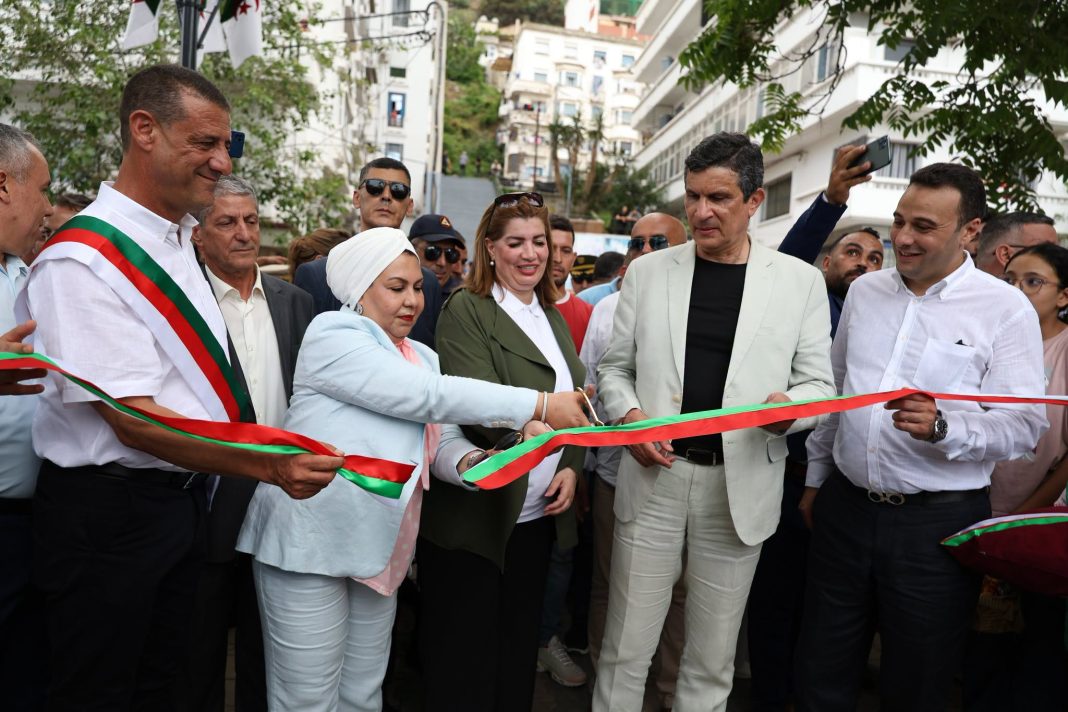 Festival des sports d’Alger 2026: Plus de 100 activités pour faire ...